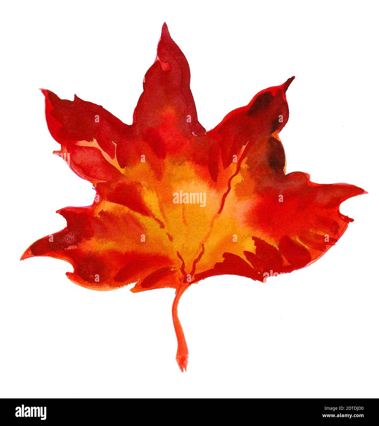 Cartoon red maple leaf Cut Out Stock Images & Pictures - Alamy
