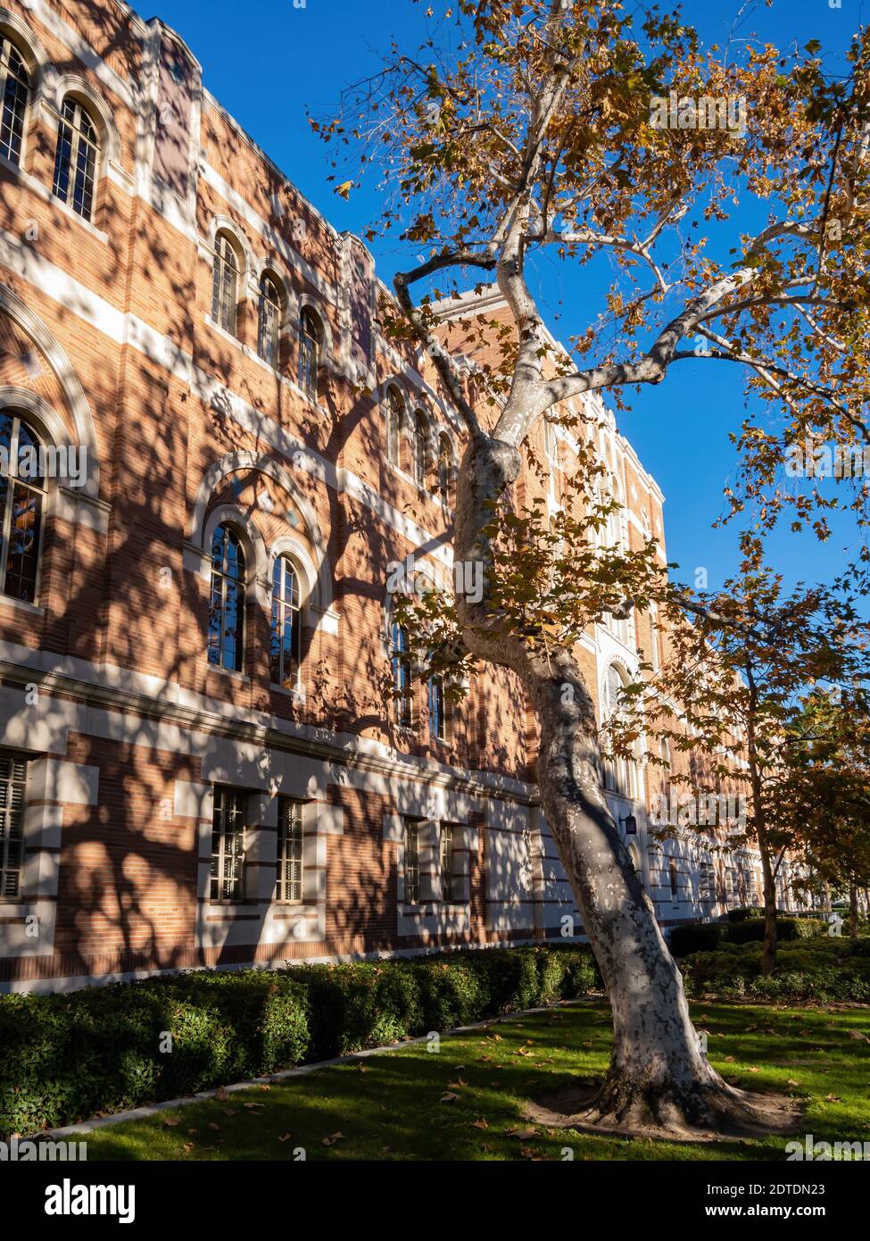 Afternoon sunny view of building in USC Campus at Los Angeles ...