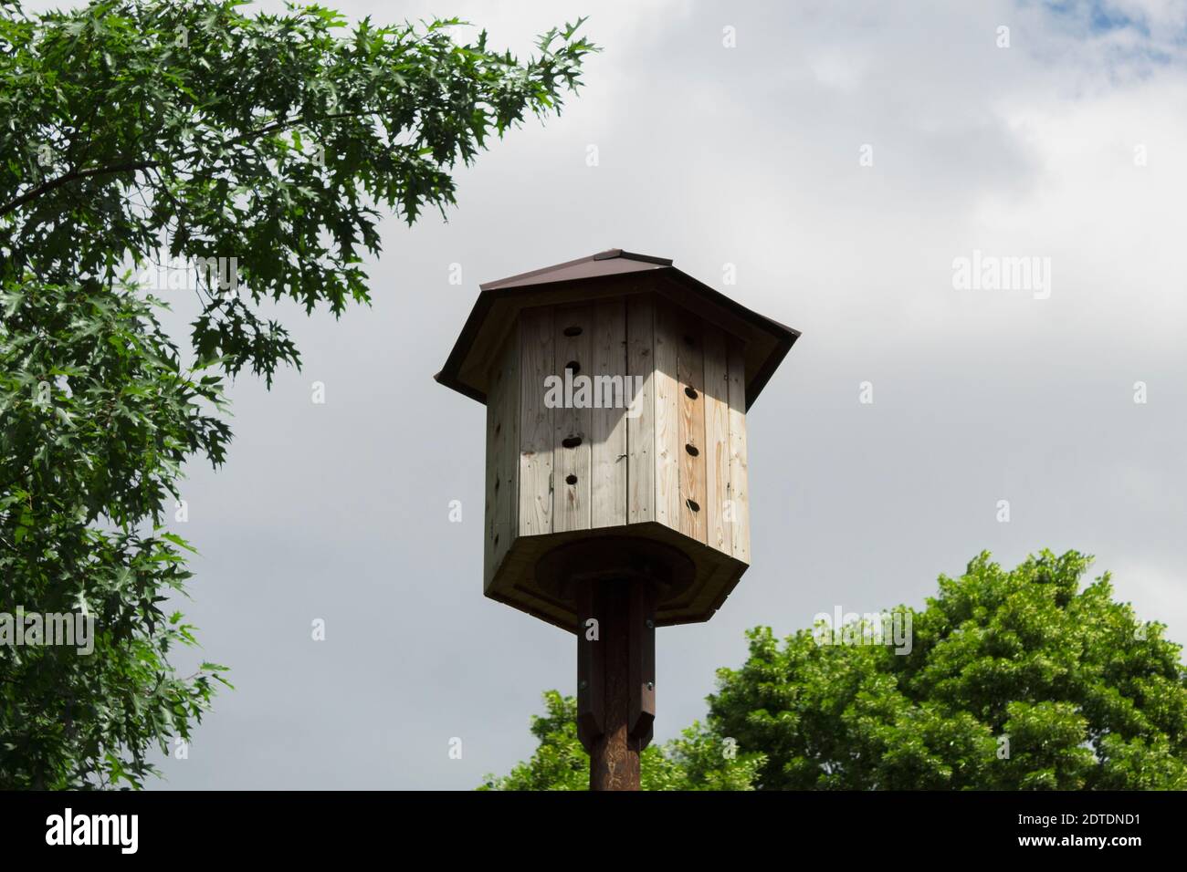 The bird house is large and original. A lot of family bird house ...
