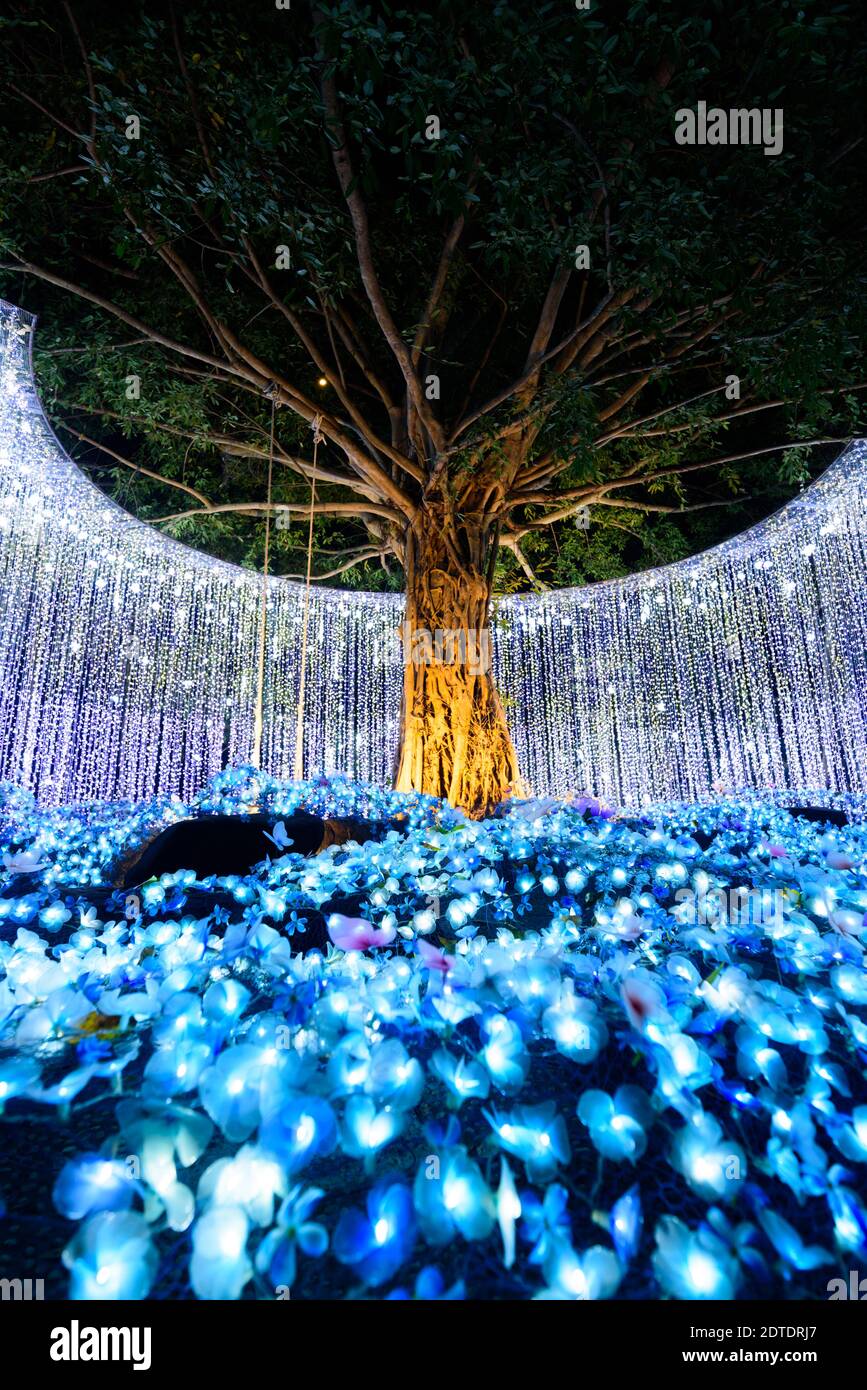 Lighting decorate on the tree in lighting festival showing countdown ...