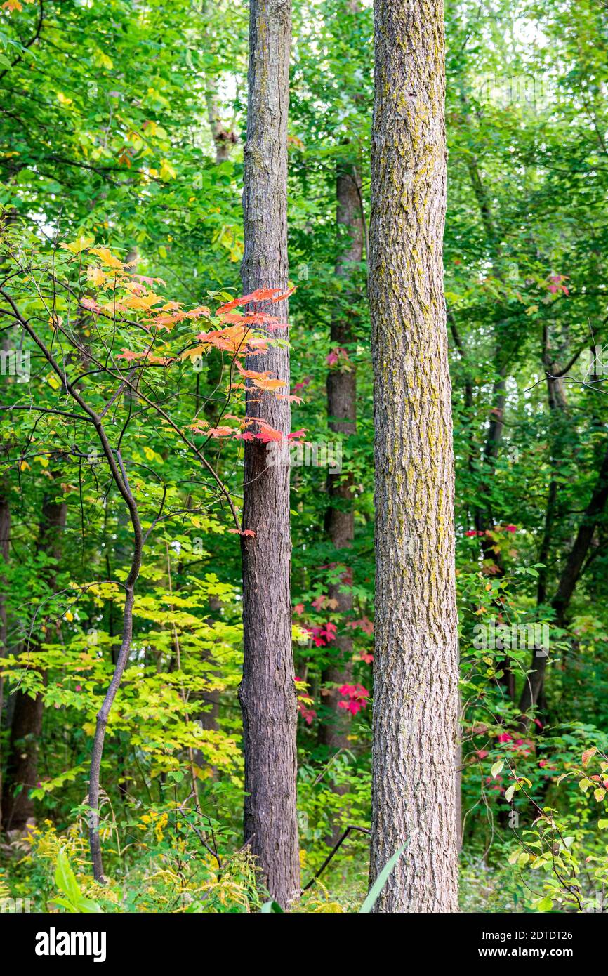 The Guild Park and Gardens Guildwood Park Guild Inn Estate Scarborough ...