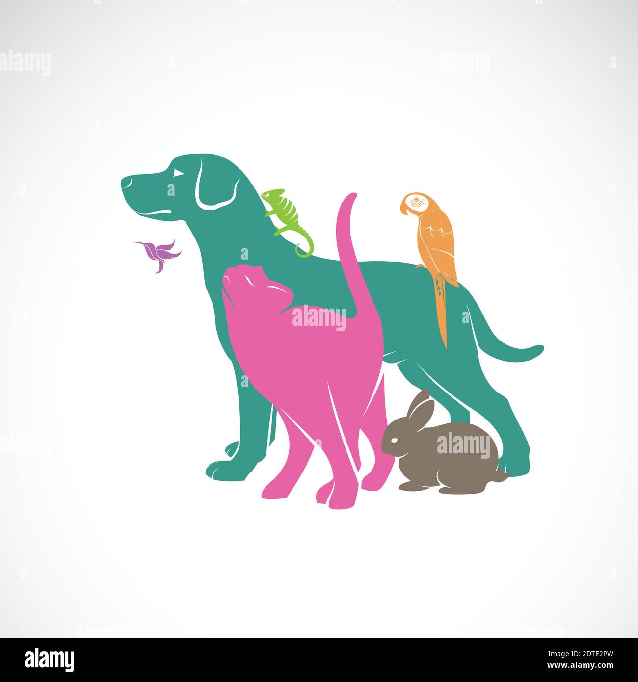 Vector group of pets - Dog, Cat, Parrot, Chameleon, Rabbit, Hummingbird ...