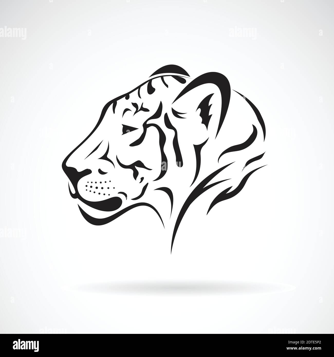 Vector of a tiger head on white background. Easy editable layered ...
