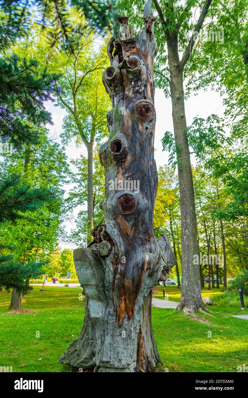 The Guild Park and Gardens Guildwood Park Guild Inn Estate Scarborough ...