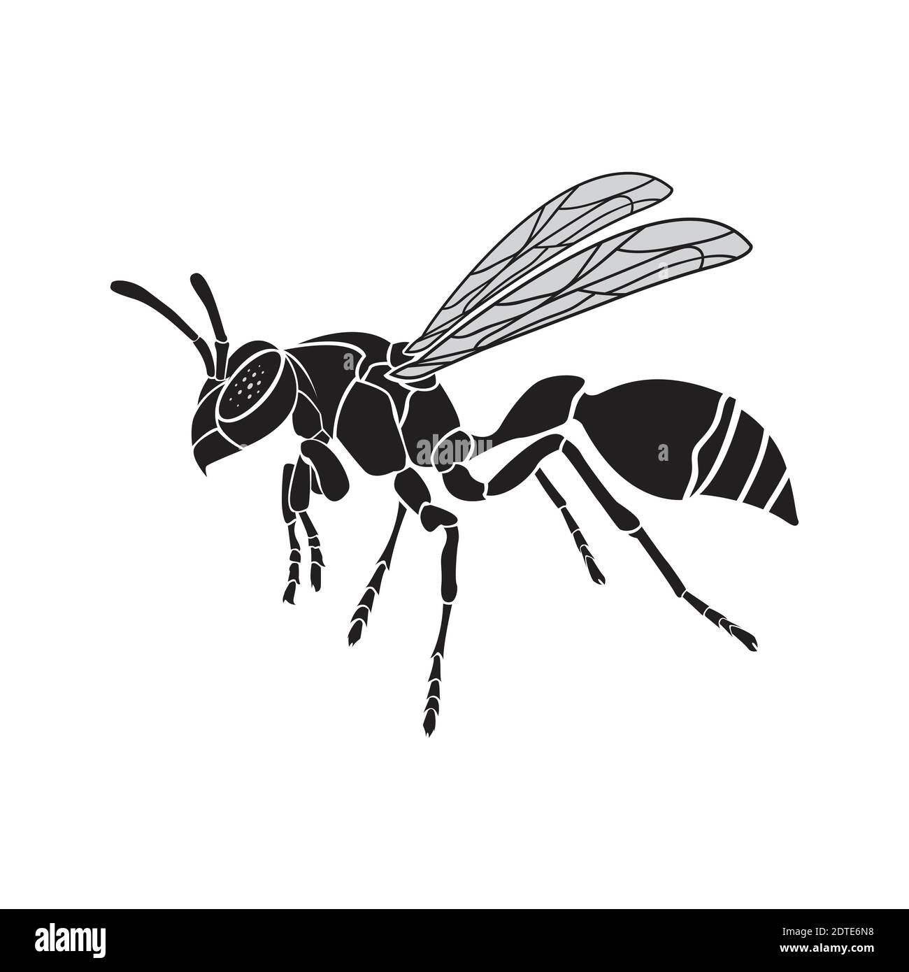 Vector of a wasp on a white background. Easy editable layered vector ...