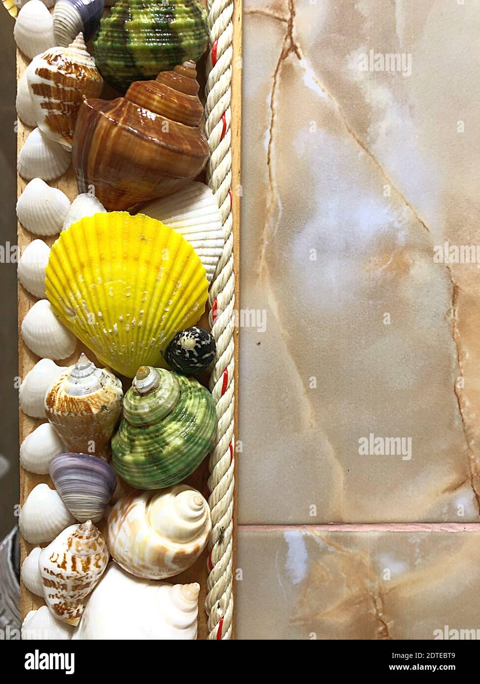 Colored shell hi-res stock photography and images - Alamy