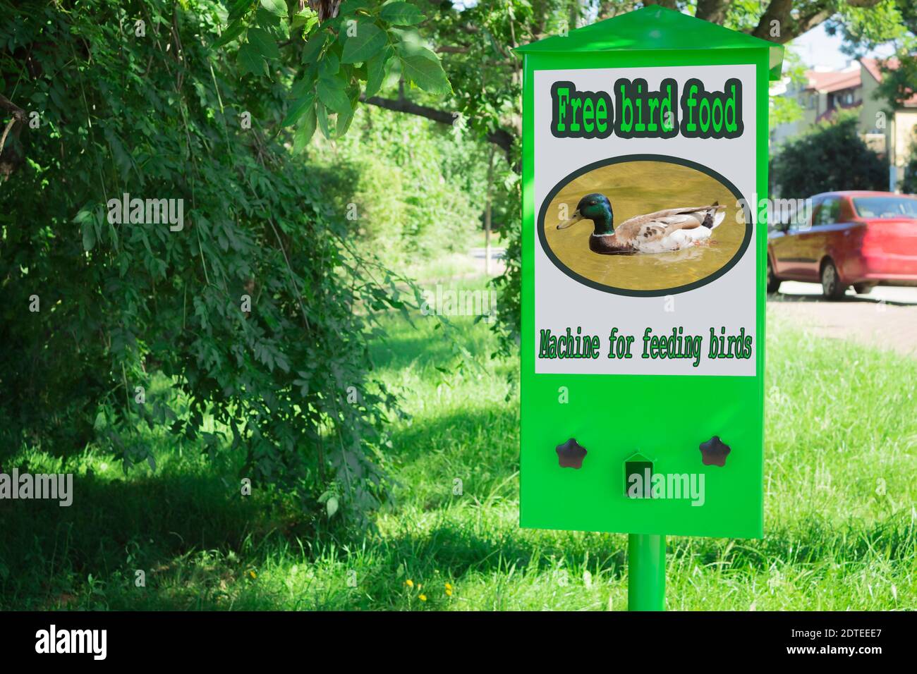 Bird vending machine hi-res stock photography and images - Alamy