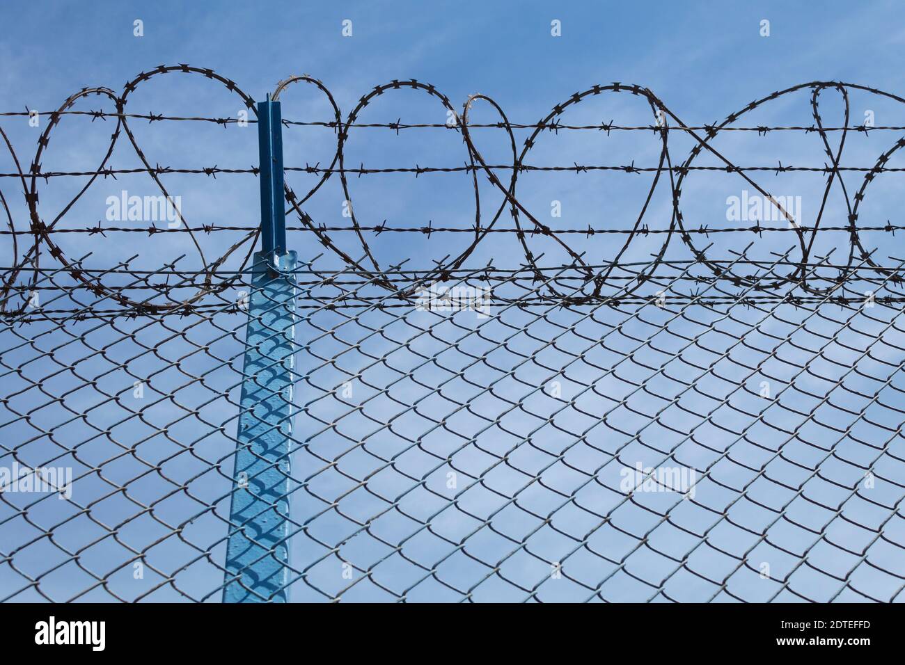 Barbed wire against the sky. Barbed wire and mesh bottom view Stock ...