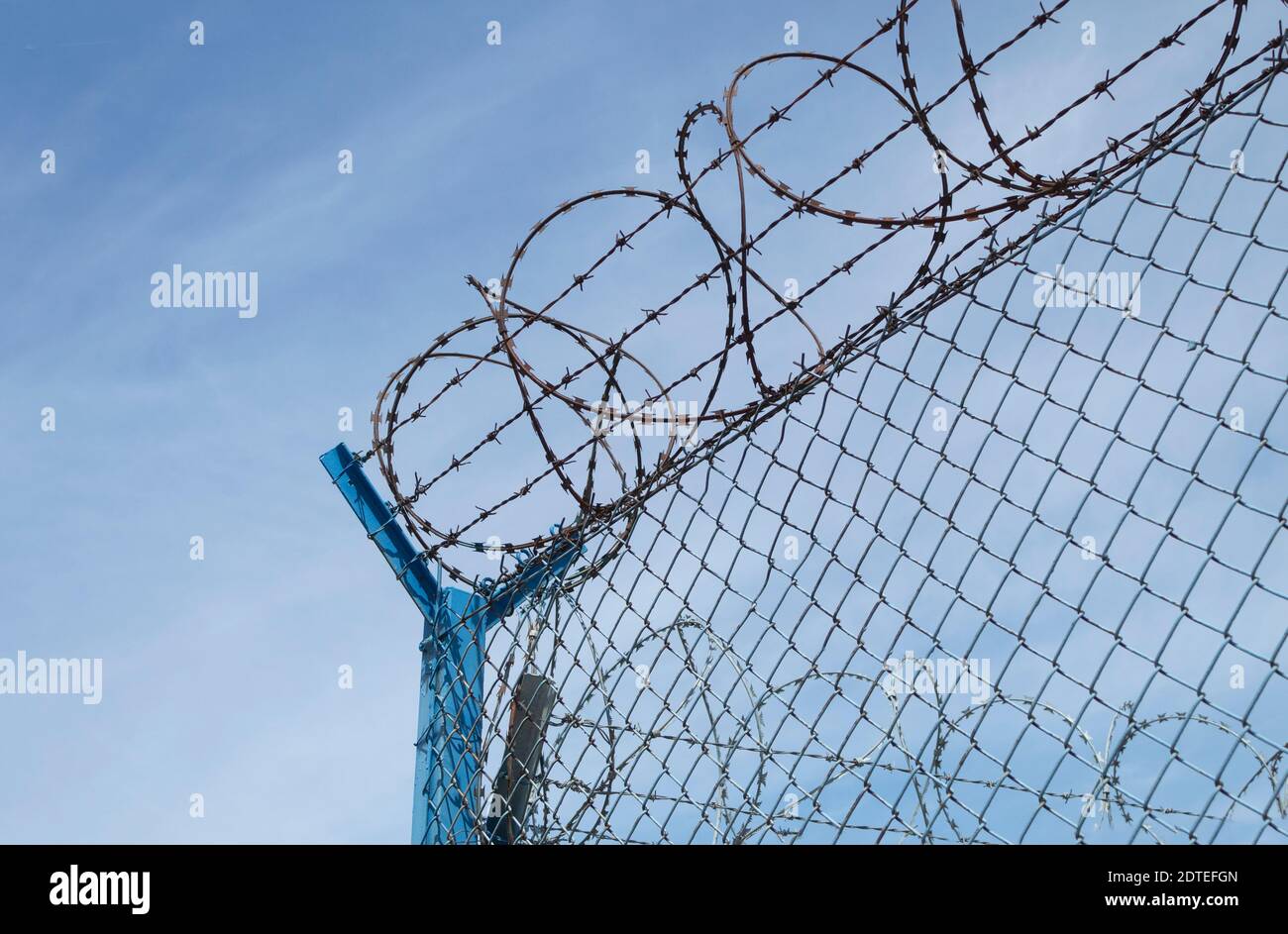 Barbed wire against the sky. Barbed wire and mesh bottom view Stock ...