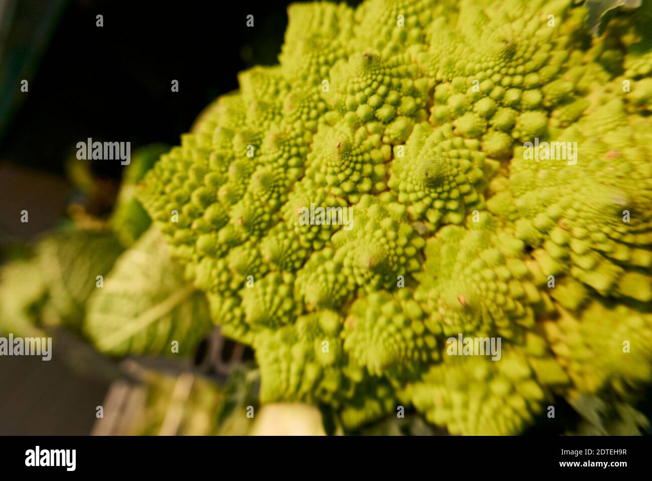 Fibonacci day hi-res stock photography and images - Alamy