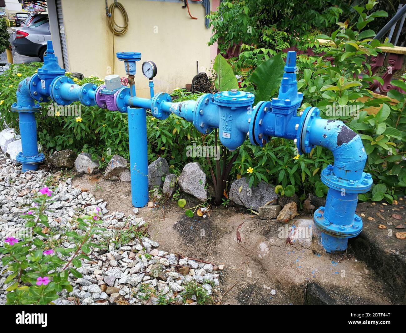 Fire hydrant in plants hi-res stock photography and images - Alamy