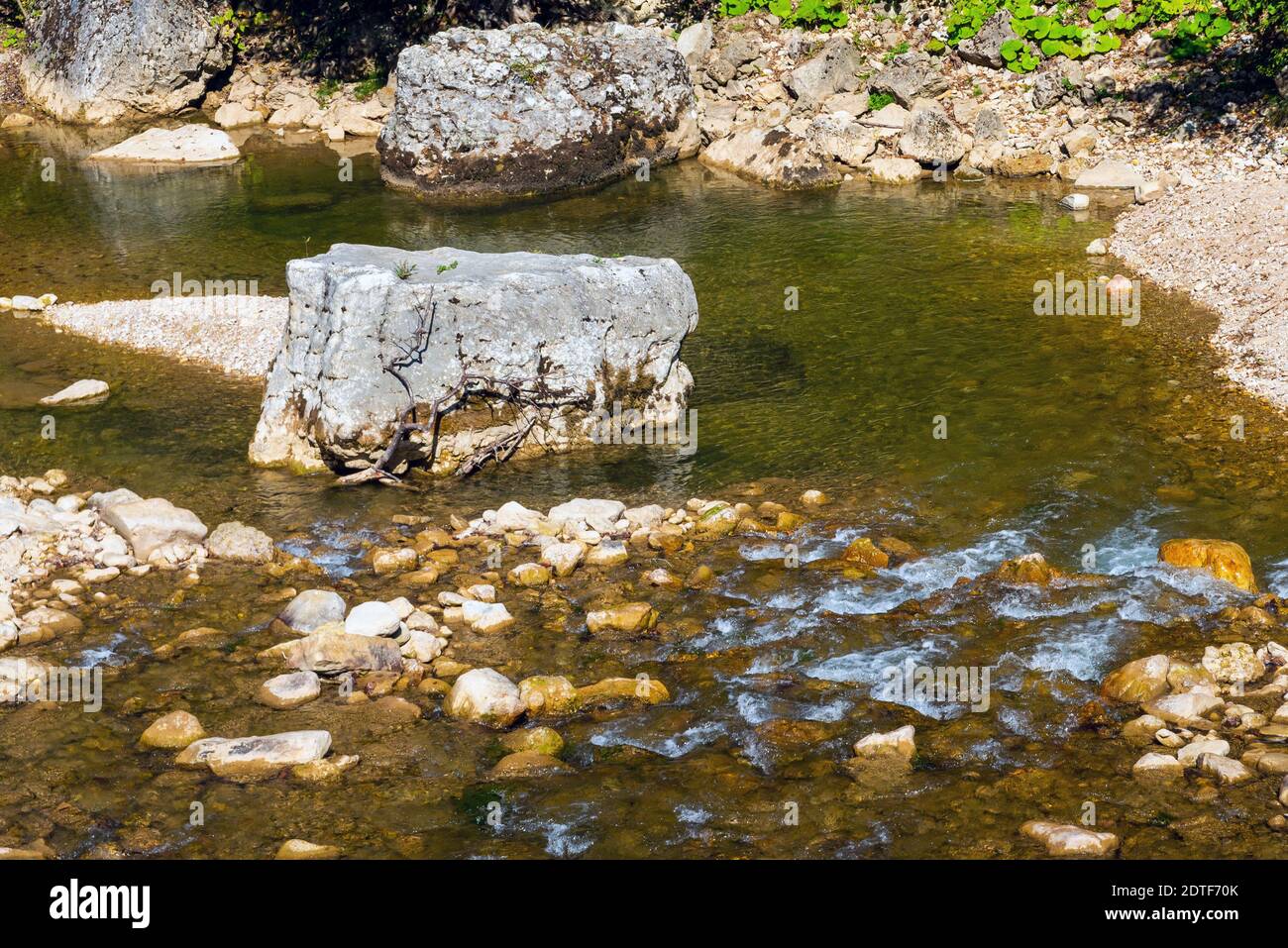 Forest river rock landscape. River forest view. Forest river rock view ...