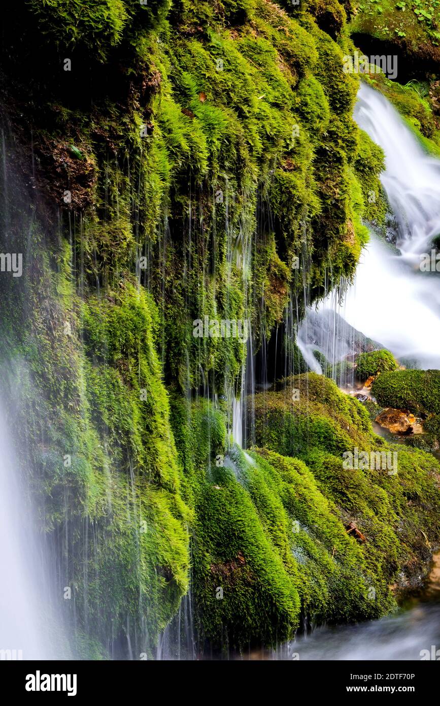 Ecology and nature. The source of clean drinking spring water among ...