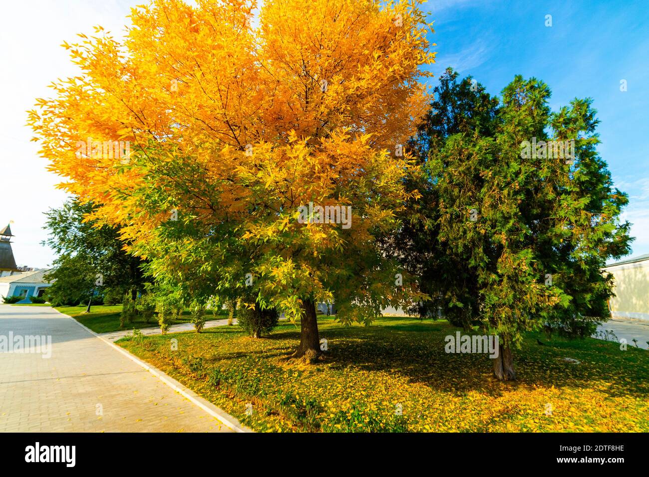 Flowerbeds, Grass Pathway and Ornamental Vase in a Formal Garden Stock ...
