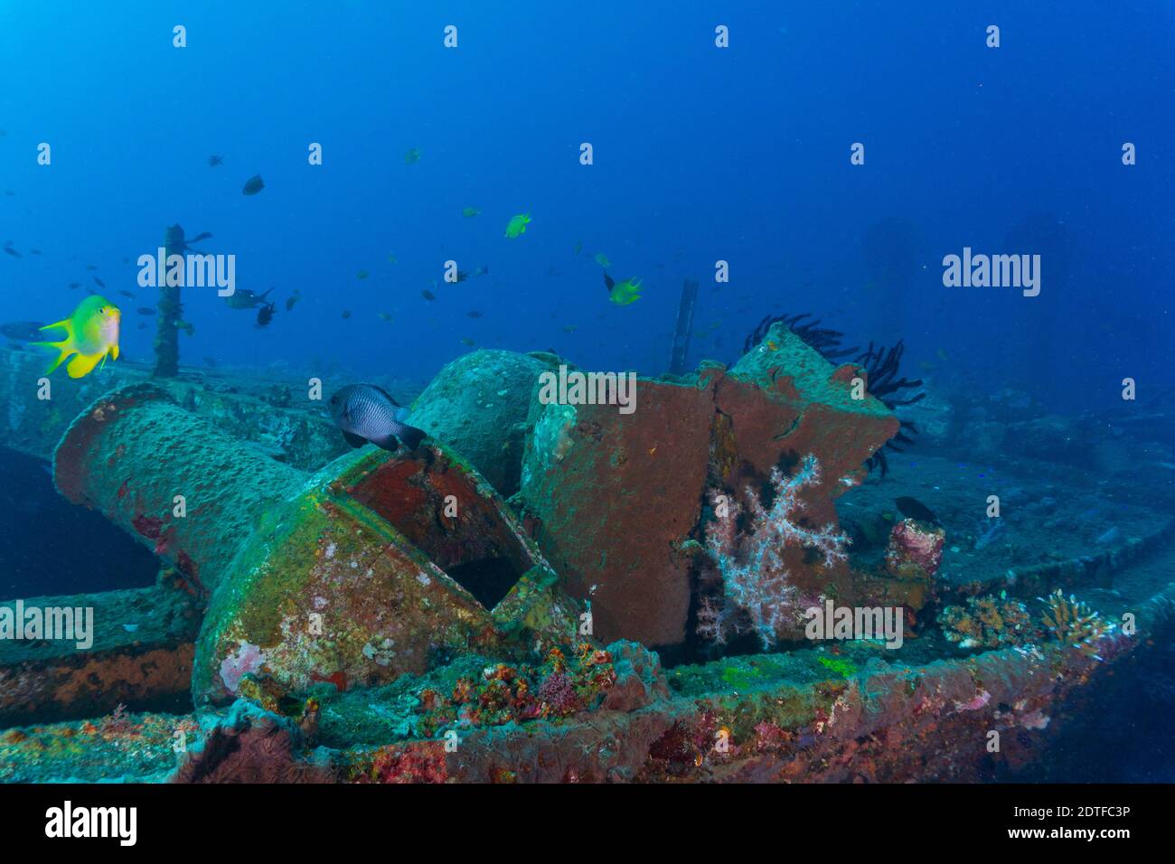 Scuba diving and wreck hi-res stock photography and images - Alamy
