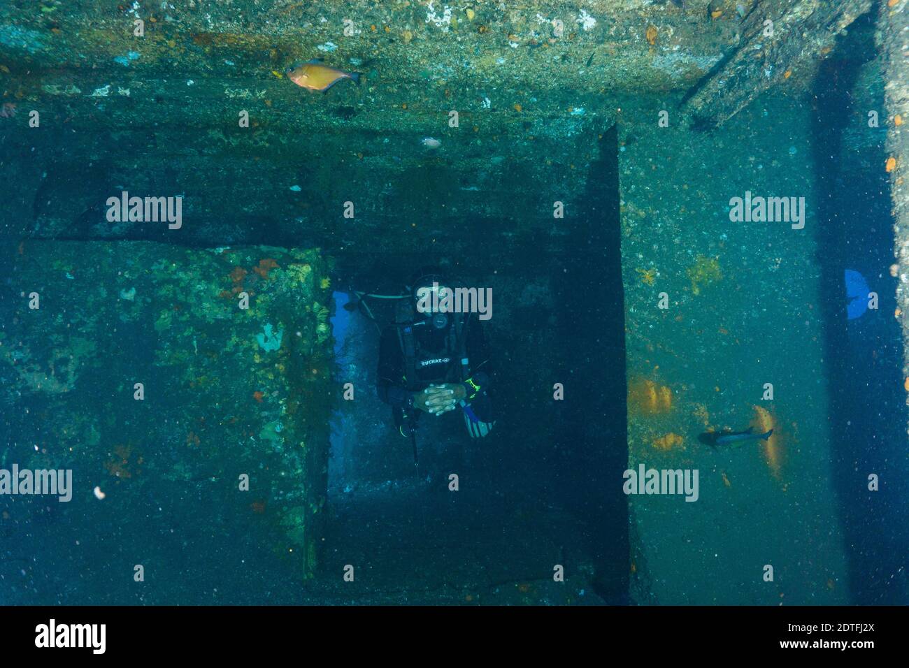 Inside shipwreck hi-res stock photography and images - Alamy