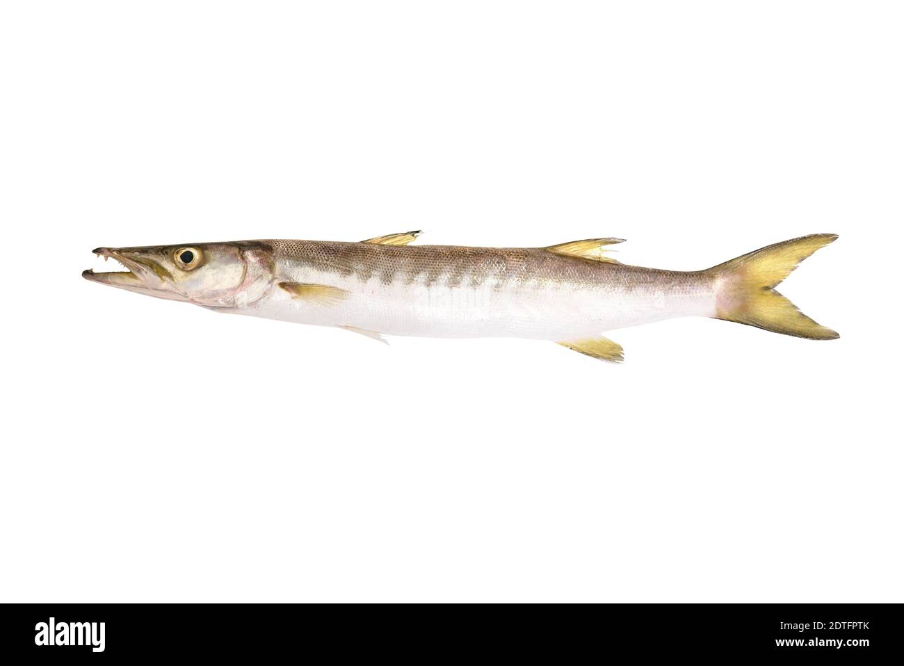 Cut up fish hi-res stock photography and images - Alamy