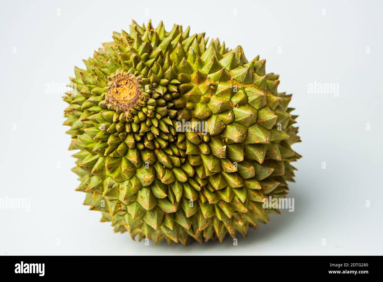 Musang king durian hi-res stock photography and images - Alamy
