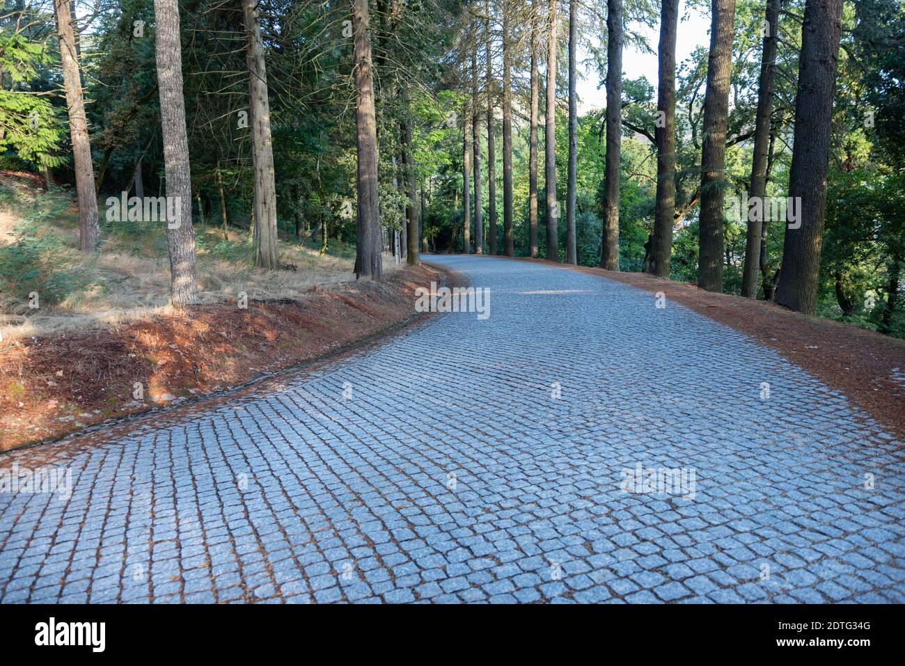 Park with trees and a long, curving cobbled path uphill in autumn Stock ...