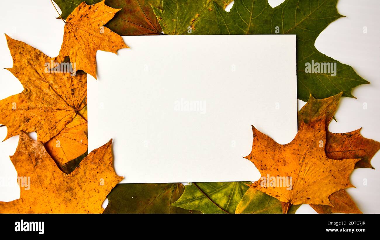 Mock up Greetings typing background with autumn leaves, white paper and ...