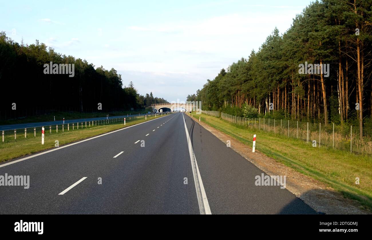 Road markings and right turn. View of the road with markings from the ...