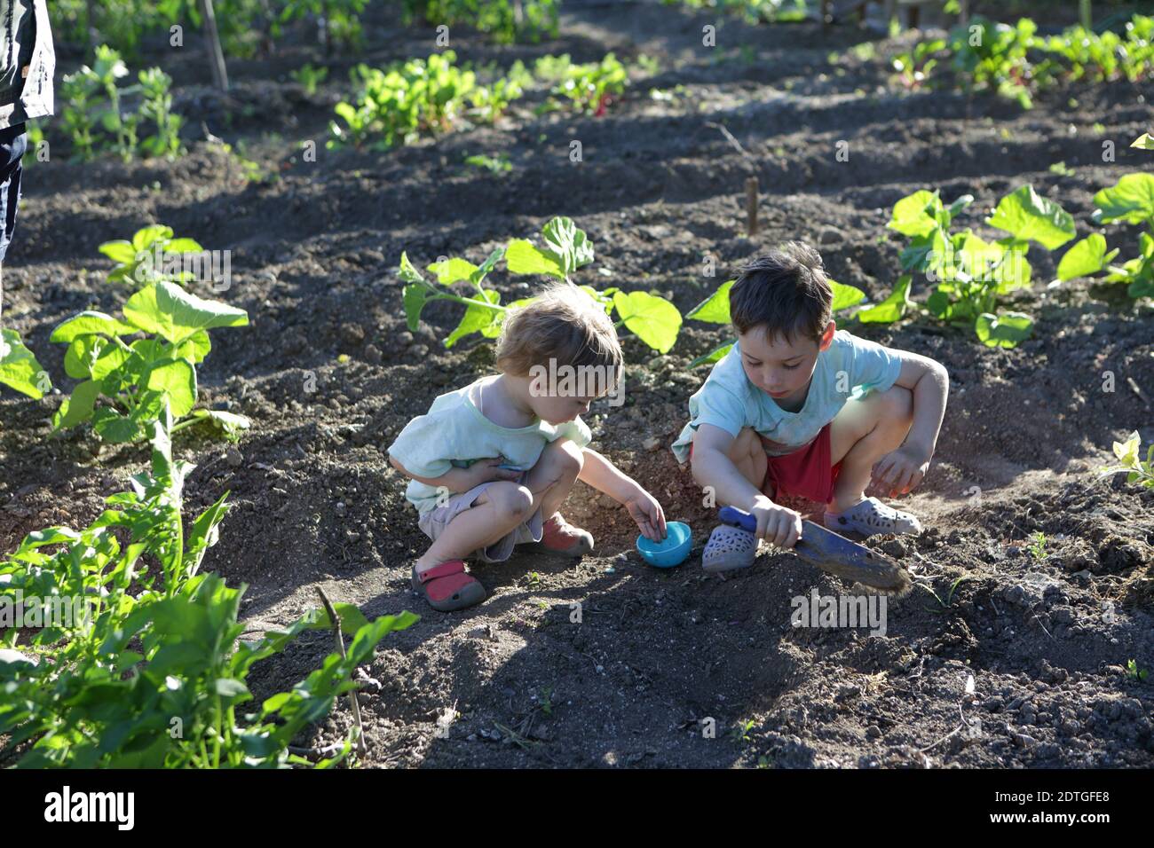 Seeds of hope children hi-res stock photography and images - Alamy