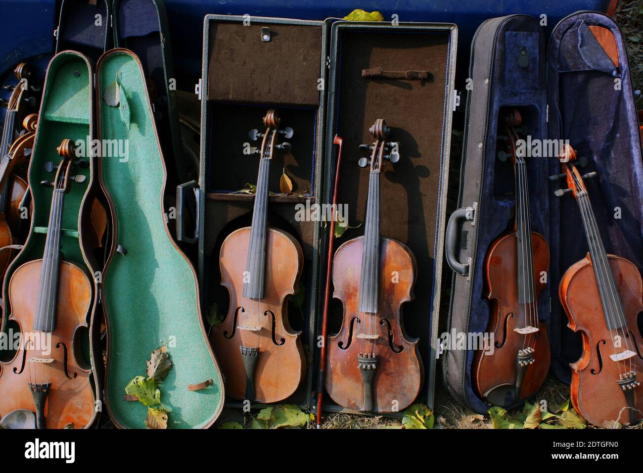 Violin cases hi-res stock photography and images - Alamy