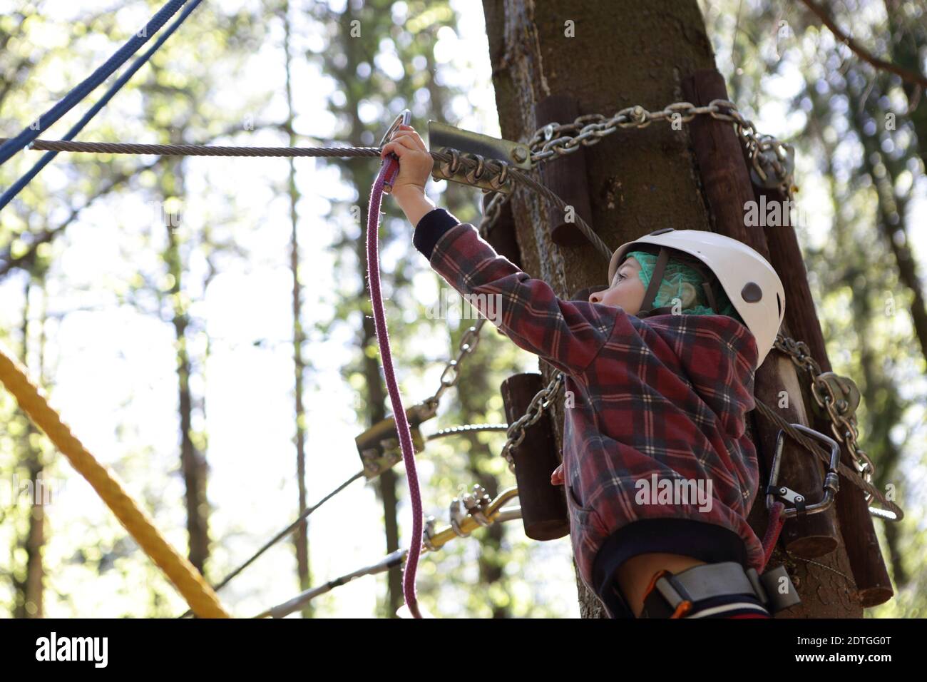 Kid climbing in adventure rope park in forest Stock Photo - Alamy