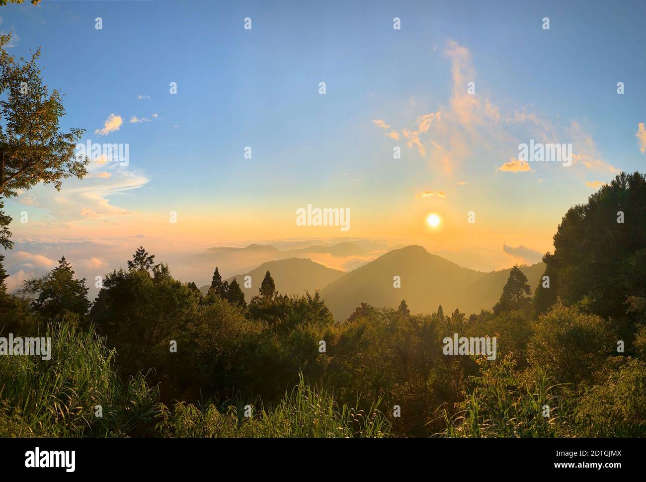 Alishan national scenic area hi-res stock photography and images - Alamy
