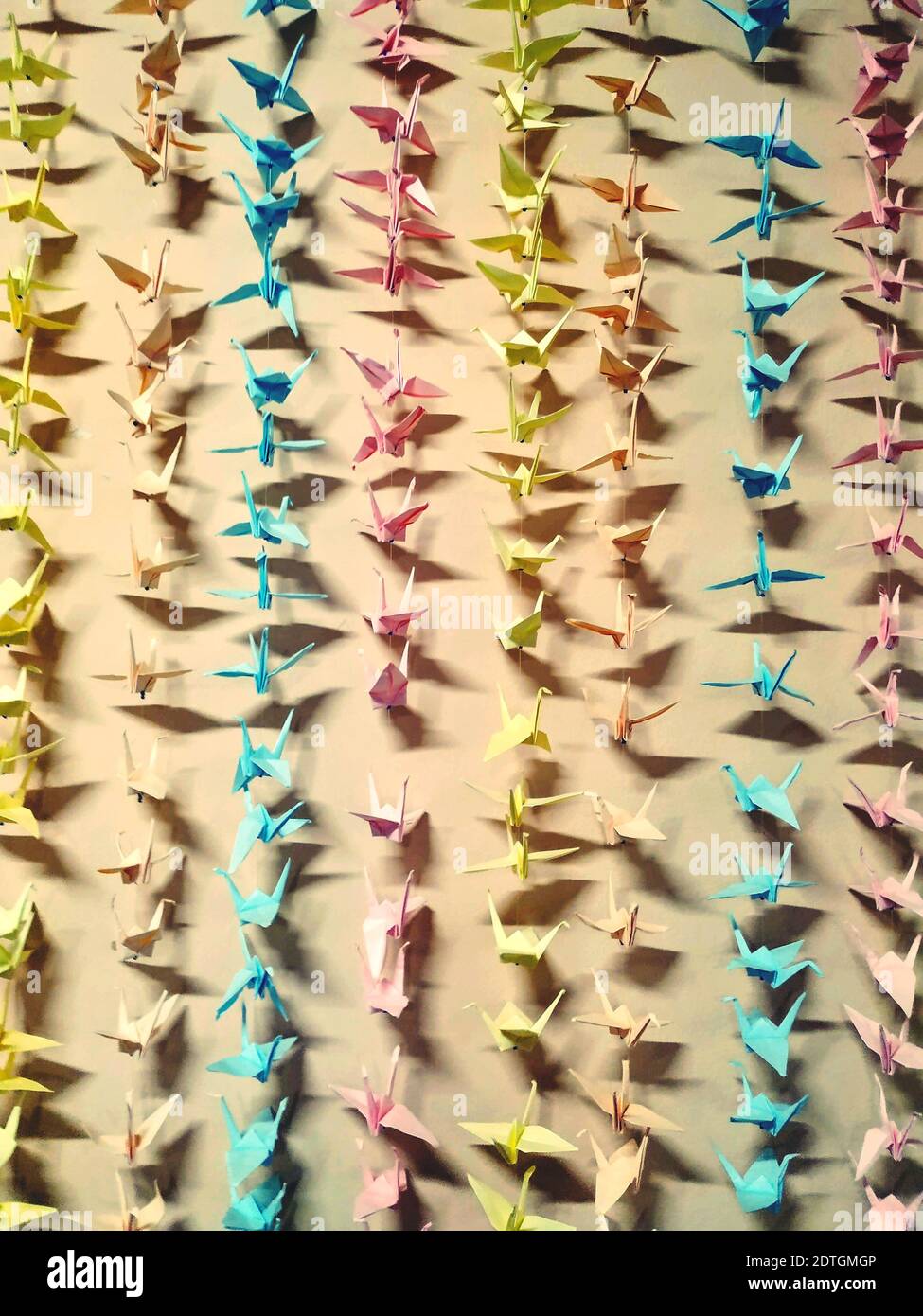 Collection of cranes hi-res stock photography and images - Alamy