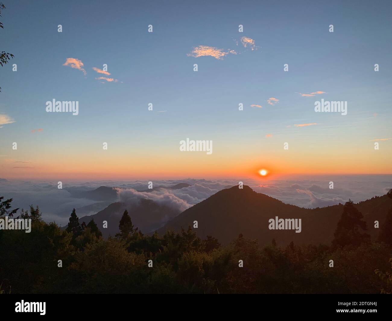 Alishan national scenic area hi-res stock photography and images - Alamy