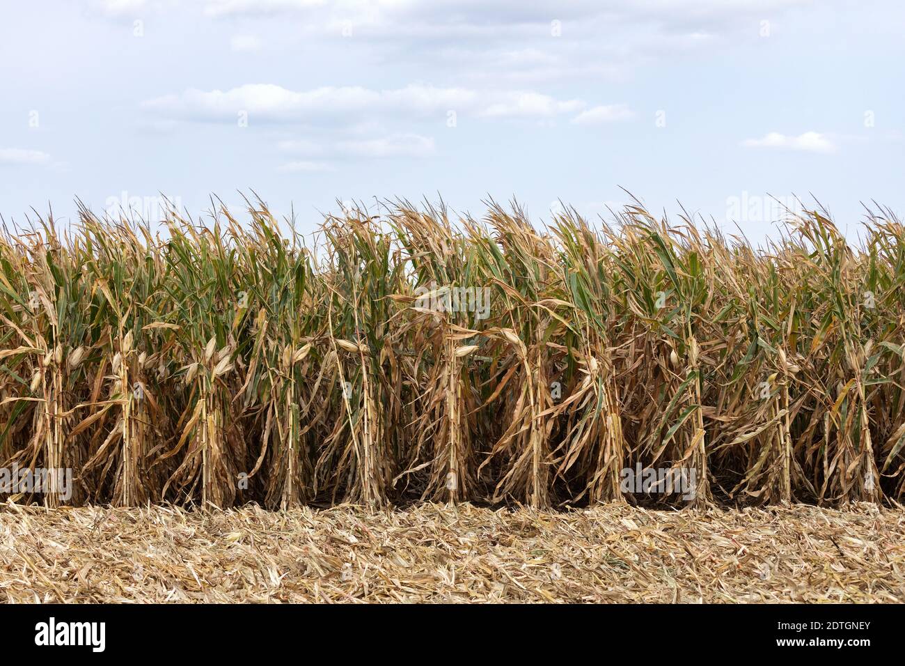 Quaker farm hi-res stock photography and images - Alamy