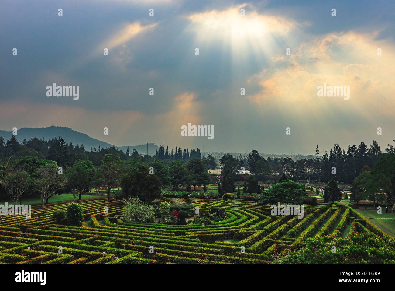 Nusantara flower garden hi-res stock photography and images - Alamy