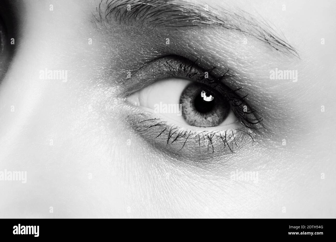 grayscale photo of a persons left eye Stock Photo - Alamy