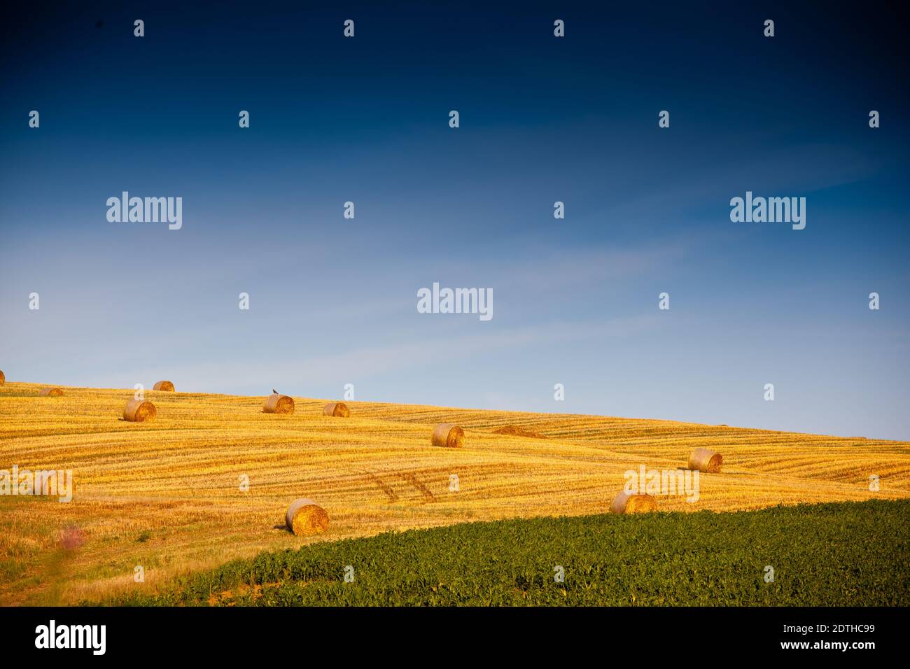 Beautiful landscape with straw bales Stock Photo - Alamy