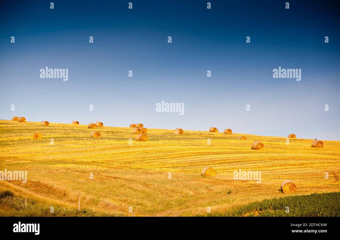 Beautiful landscape with straw bales Stock Photo - Alamy