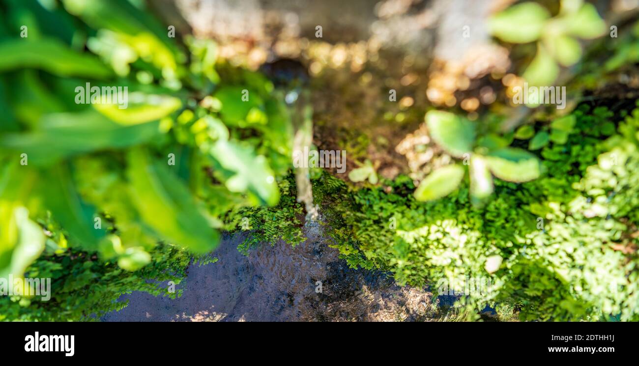 Top view of fountain stream with fresh water Stock Photo - Alamy
