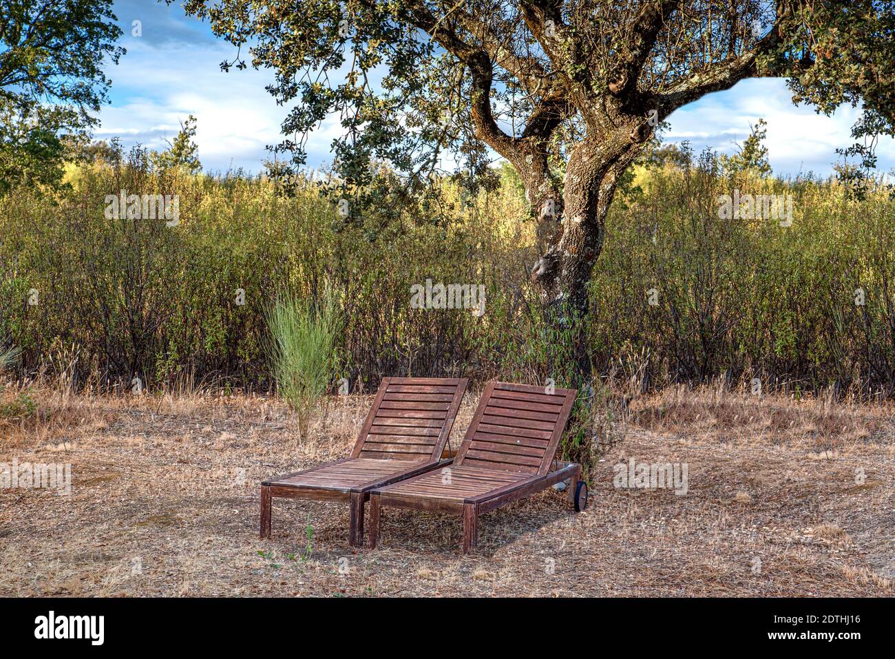 Rest in nature hi-res stock photography and images - Alamy