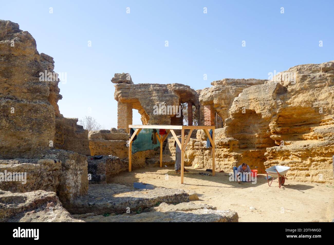 Palaeontology paleology paleo history paleohistory hi-res stock ...