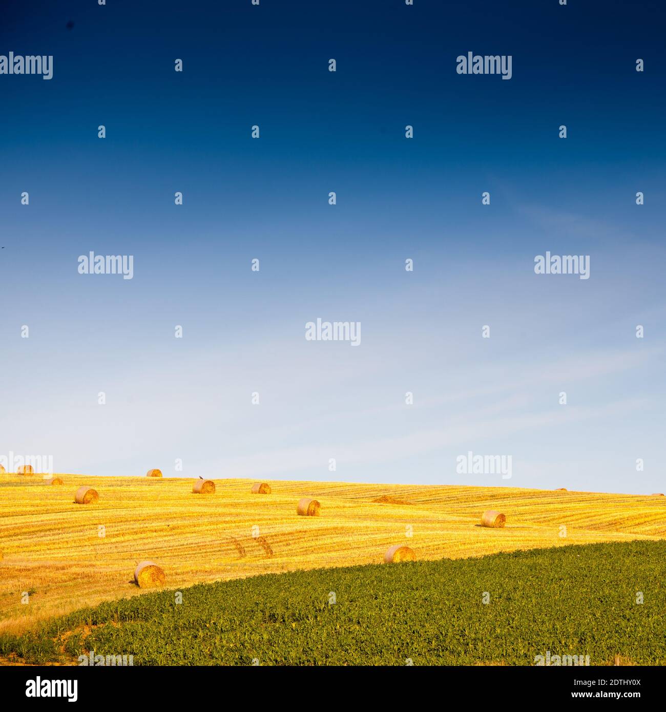 Beautiful landscape with straw bales Stock Photo - Alamy