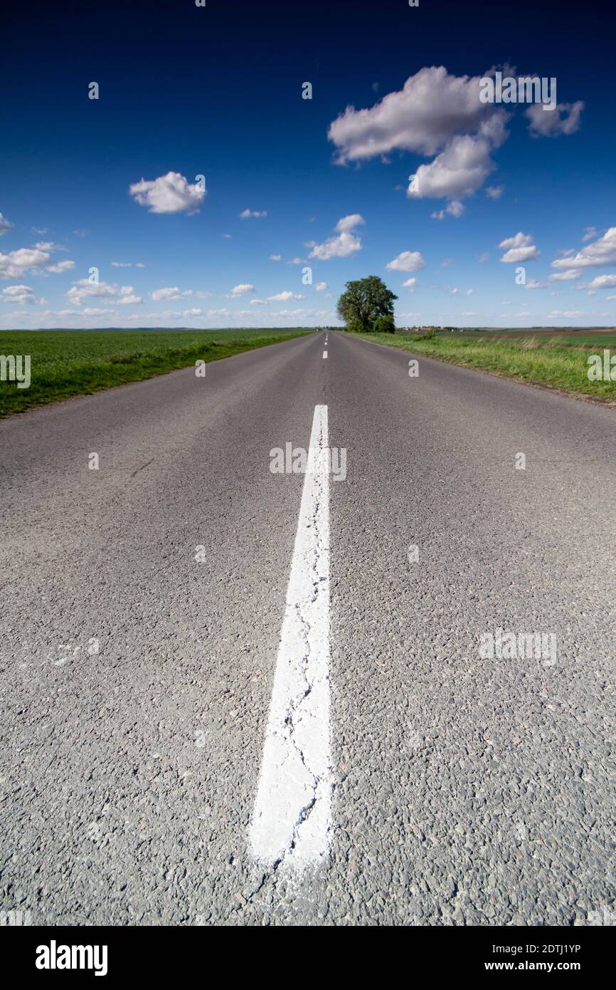 asphalt road through the green field Stock Photo - Alamy