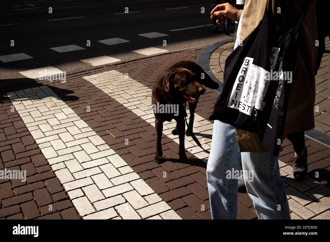 PAYS-BAS Photographie quotidienne à travers les Pays-Bas. NETHERLANDS ...
