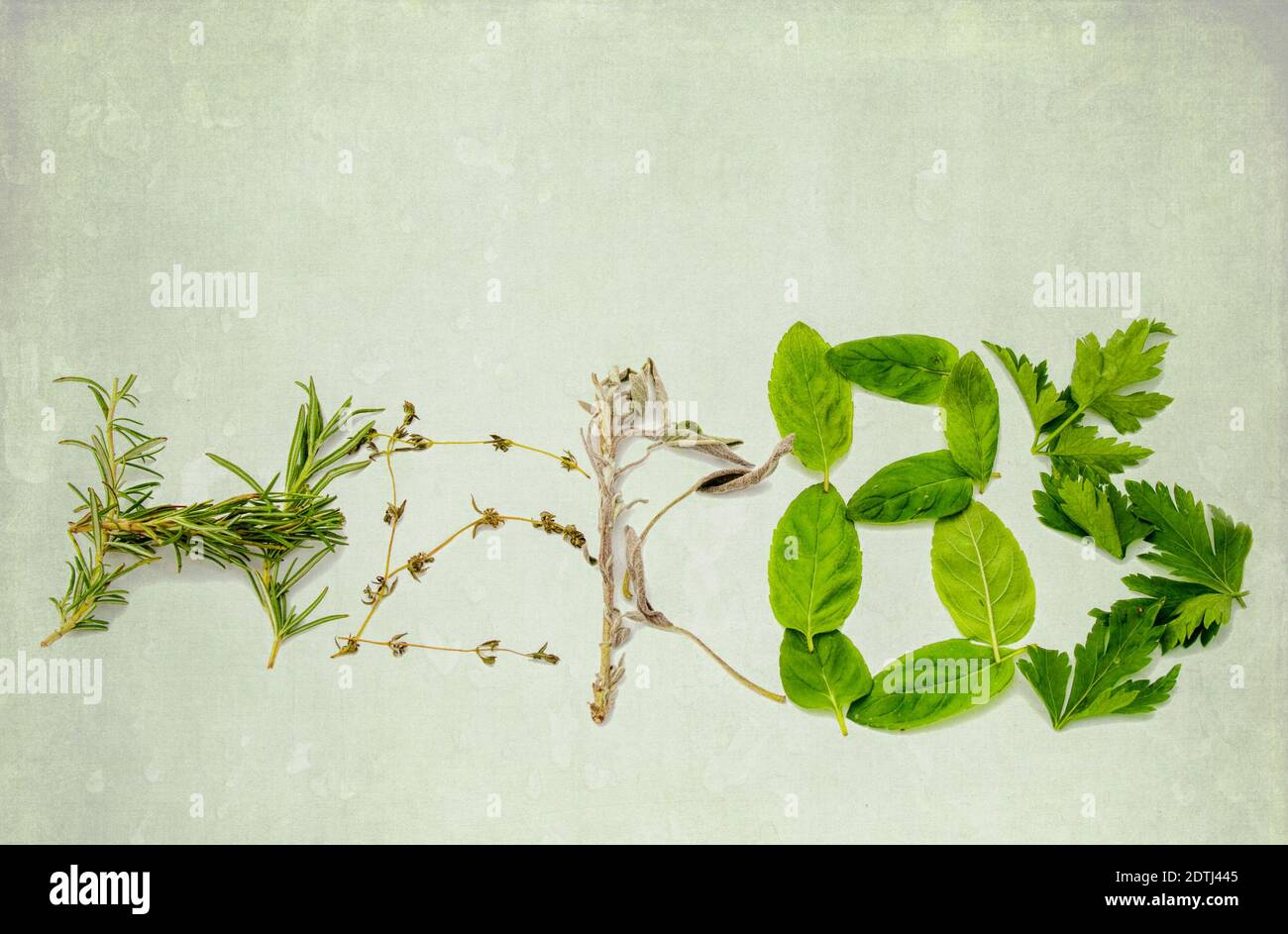 The word "herbs" made of different herbs. Rosemary, thyme, sage, basil ...