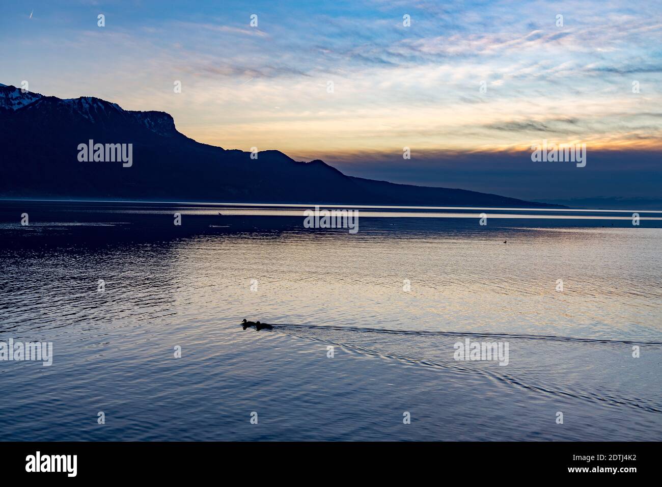 A mesmerizing view of a wavy lake on background of yellow and blue ...