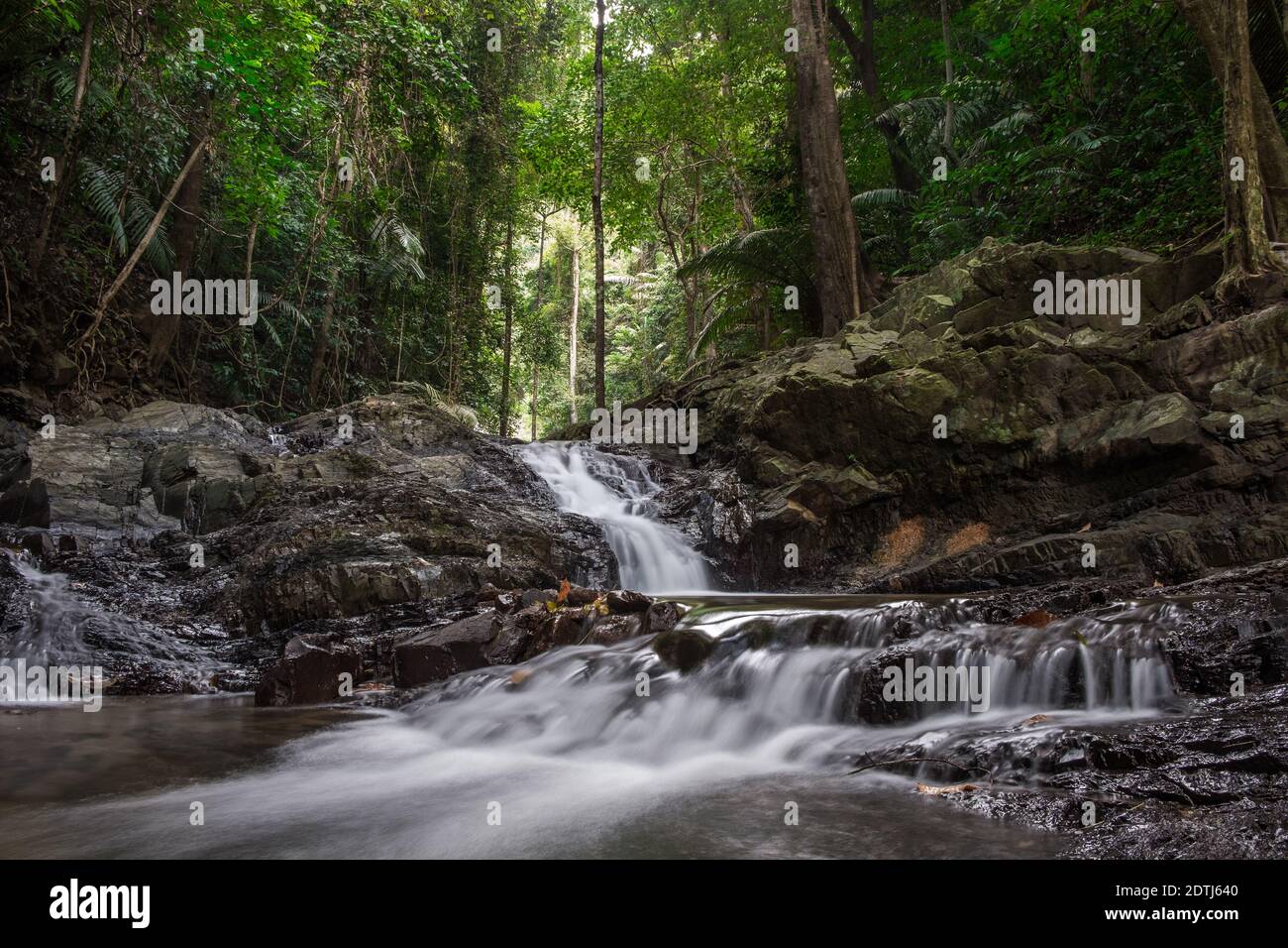 Beautiful scenery with a waterfall in a rainforest Stock Photo - Alamy