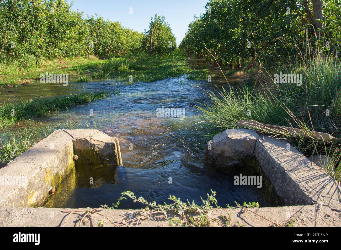 An irrigation well with water for tree irrigation - green environment ...