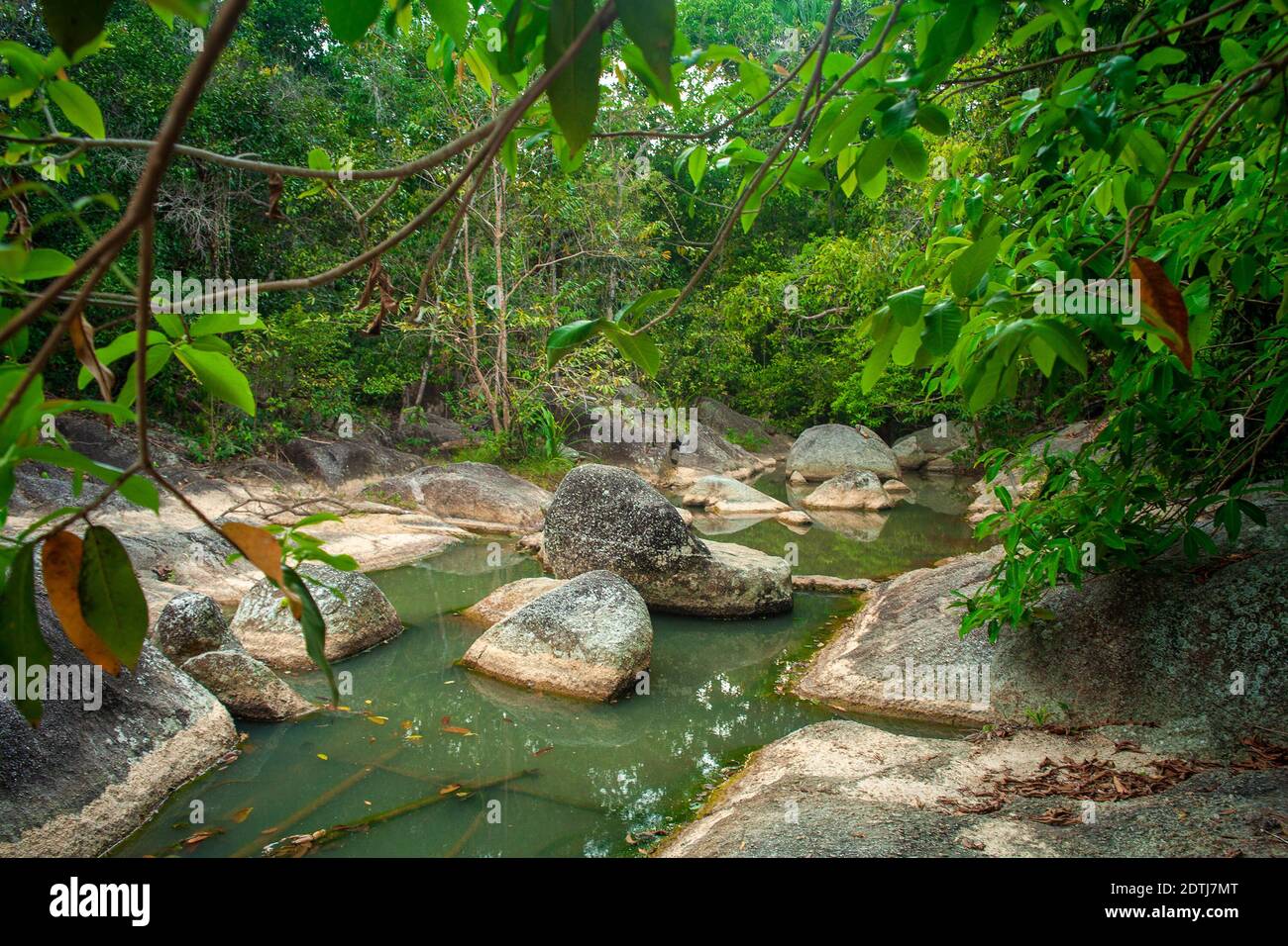 Forest tropical landscape with rocks and water Stock Photo - Alamy