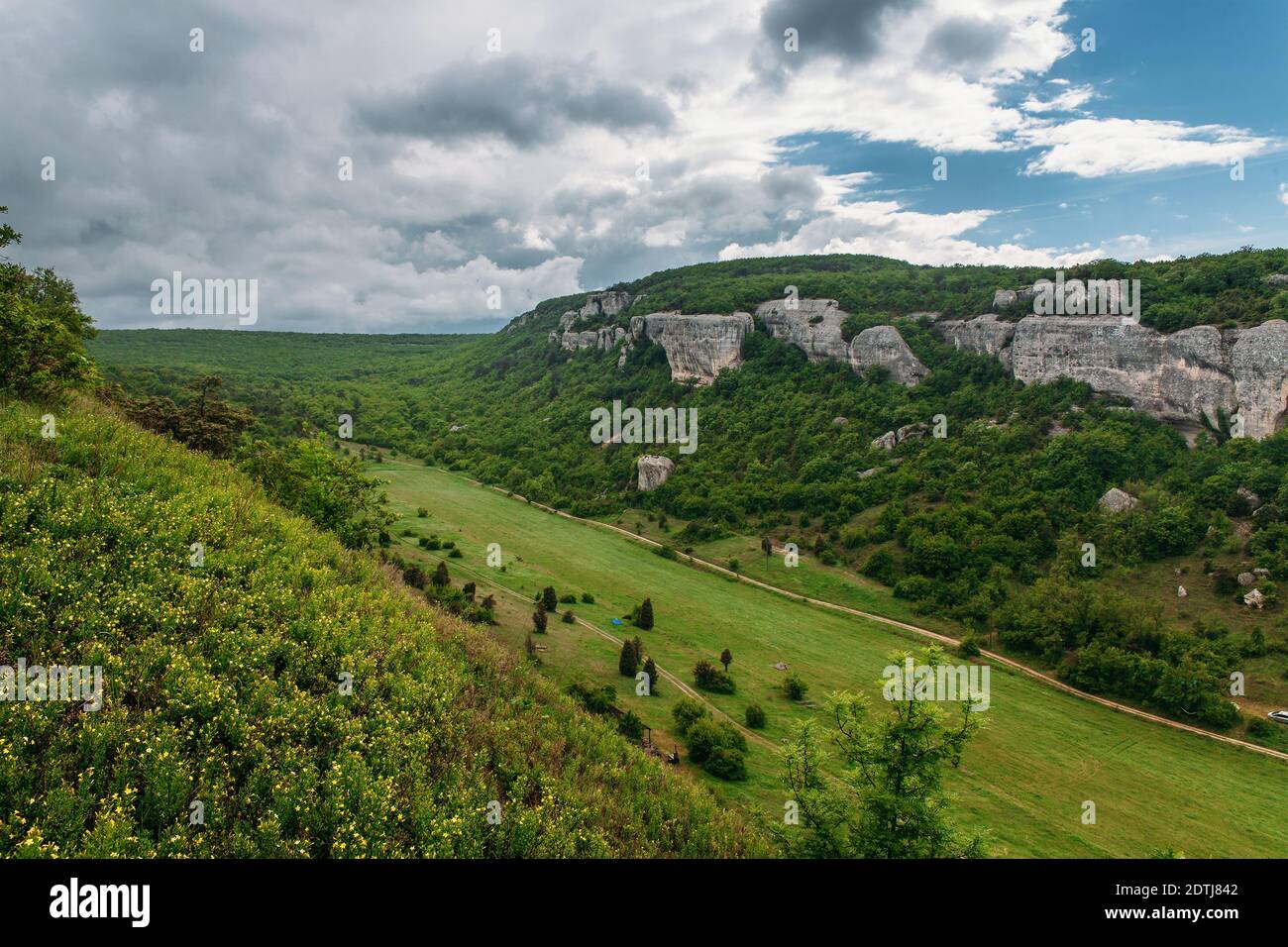 Mountain valley covered by forest, meadow and pasture. Landscape in the ...