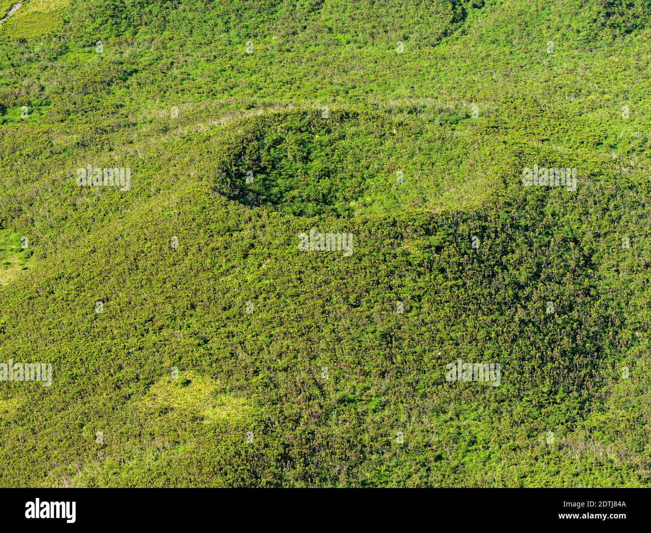 The Caldera of Faial at Cabeco Gordo. Faial Island, an island in the ...