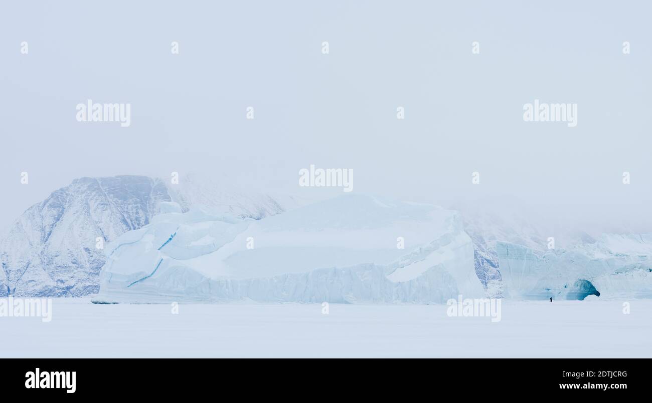 Icebergs frozen into the sea ice of the Uummannaq Fjordsystem during ...